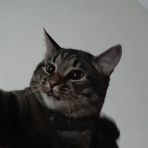 Иконка канала ЧУДО|ЙОДА