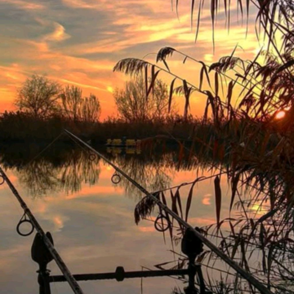 Иконка канала Жизнь В Деревне!