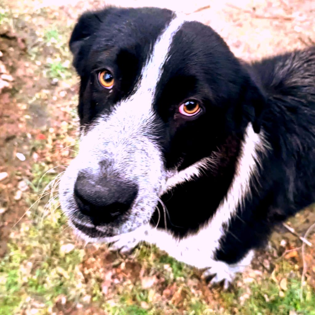 Иконка канала Антон Дмитриевич