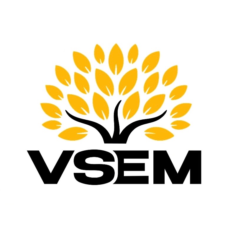 Иконка канала ВСЕМ — Новая Социально-Экономическая Программа