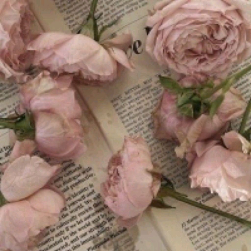 Иконка канала nntaffy