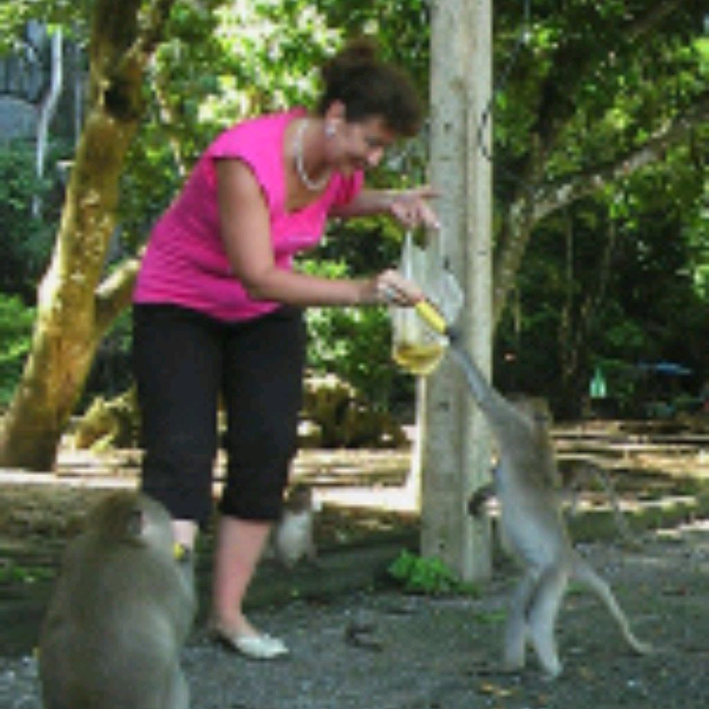 Иконка канала Махровые Шлюмбергеры( Декабристы)