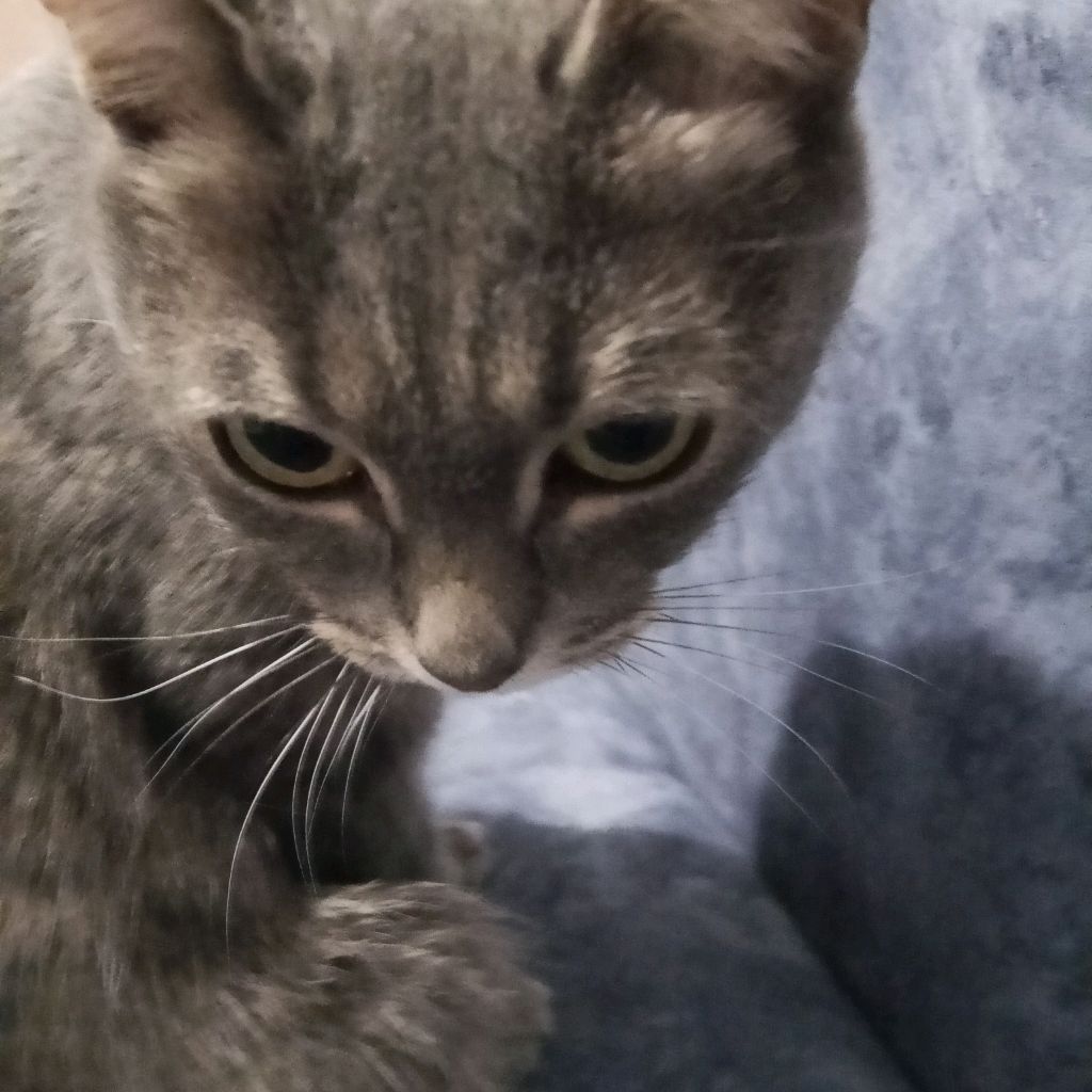 Иконка канала Xzn11 Тимофей