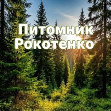 Иконка канала Питомник Рокотенко