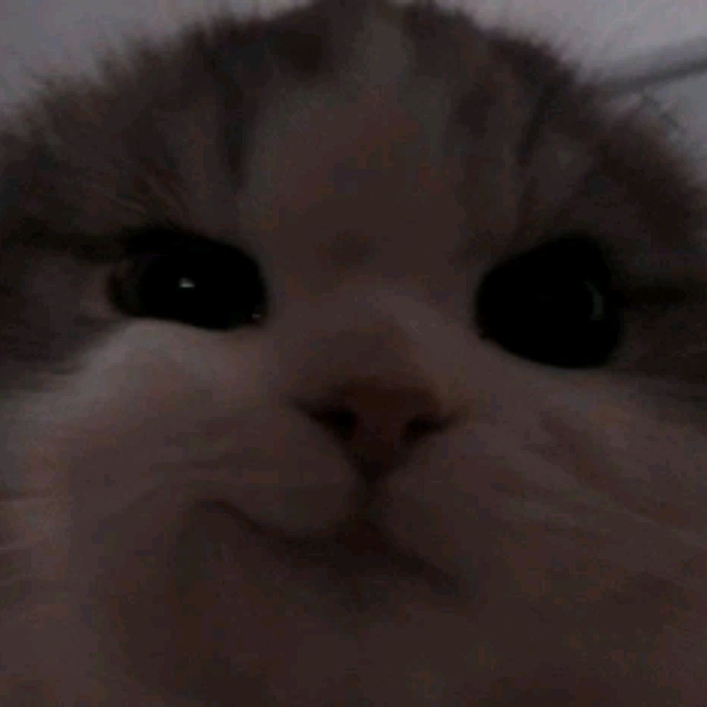 Иконка канала София