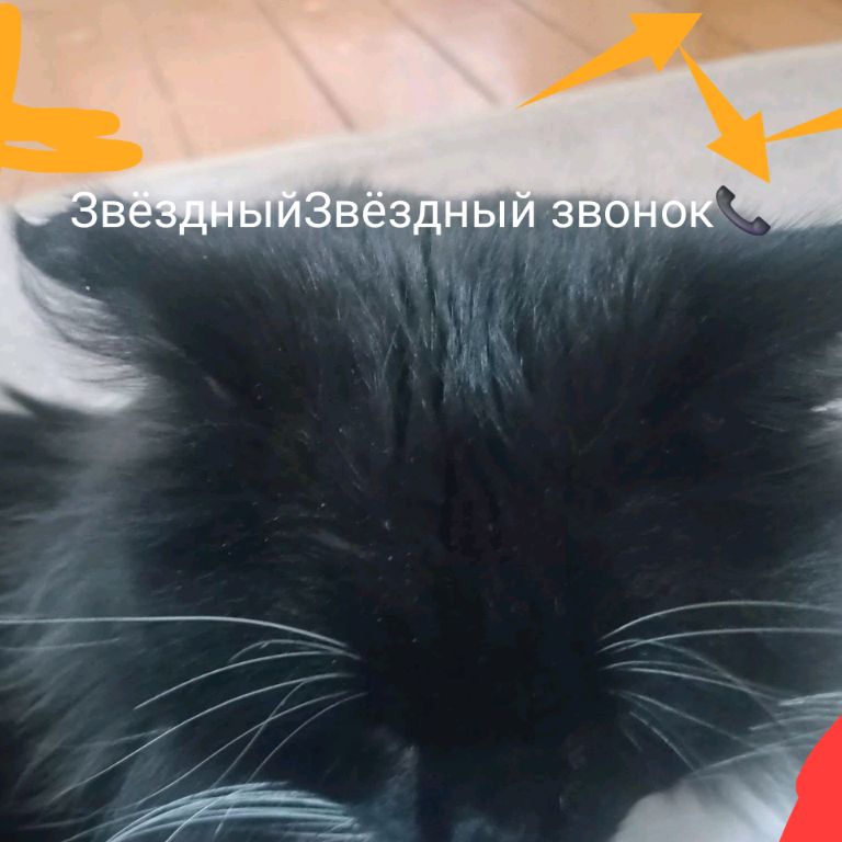 Иконка канала ⭐️Юля⭐️