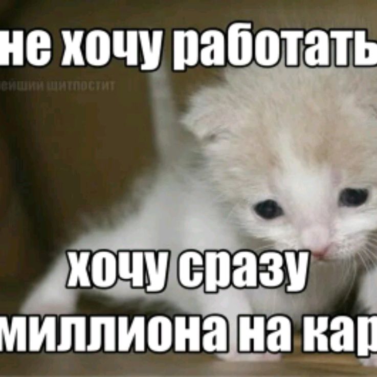 Иконка канала Подборка мемов