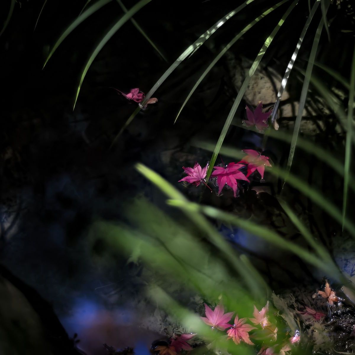 Иконка канала Anna