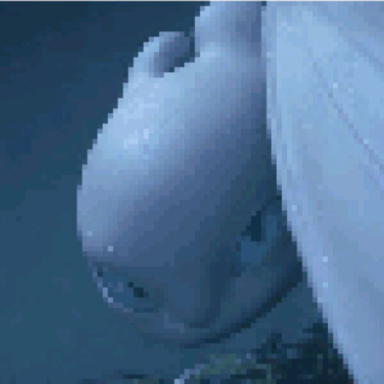 Иконка канала Alvina