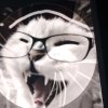 Иконка канала MewShow