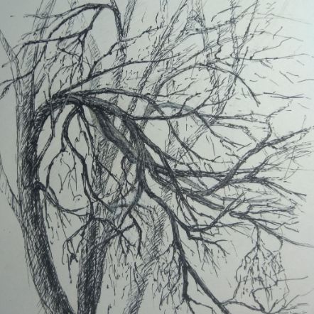 Иконка канала Дуэт "Казачий романс"