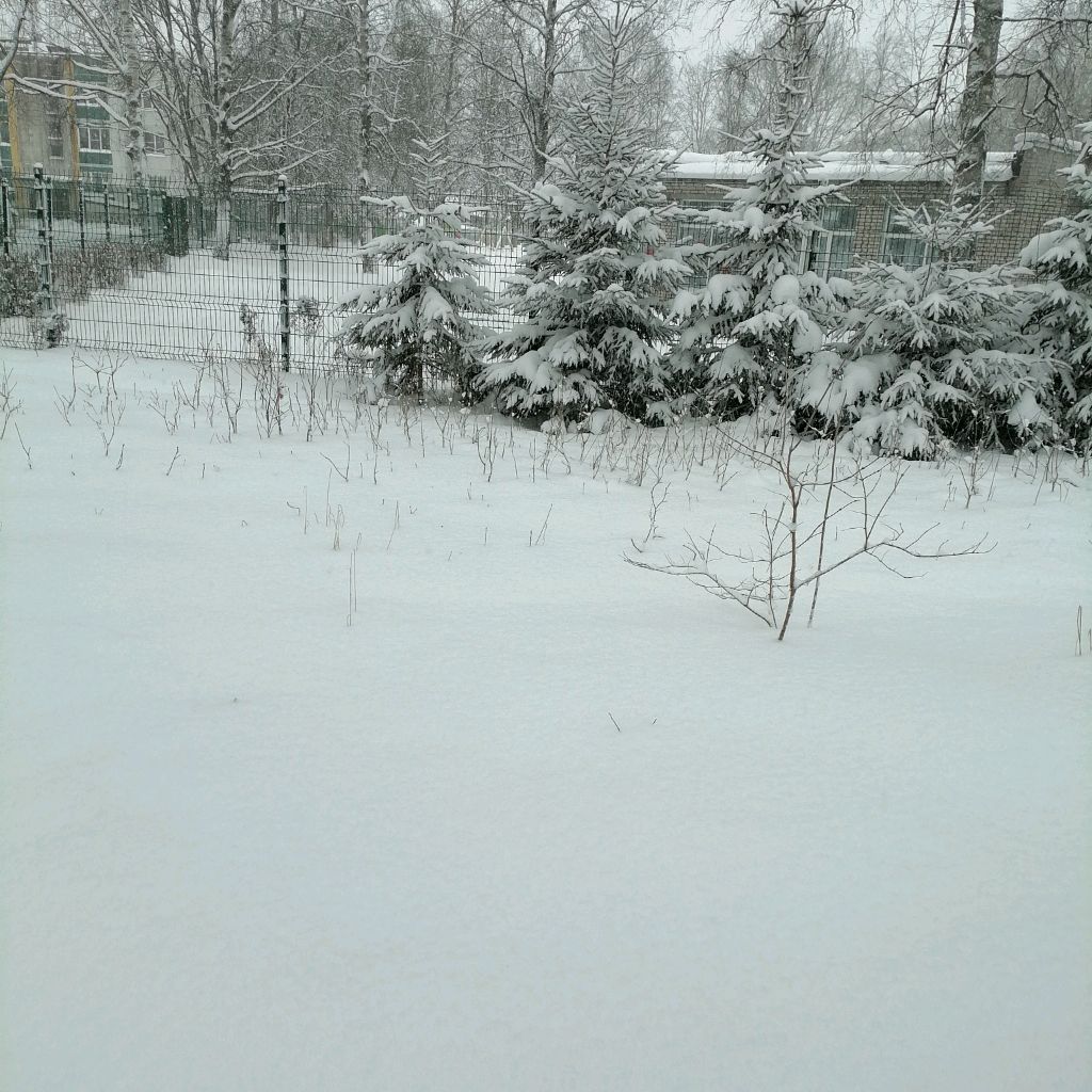 Иконка канала TVMAN