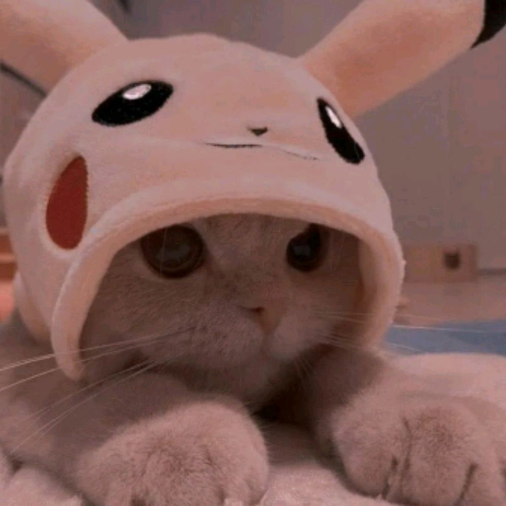 Иконка канала Котик Лайк