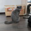 Иконка канала ☆Alex☆