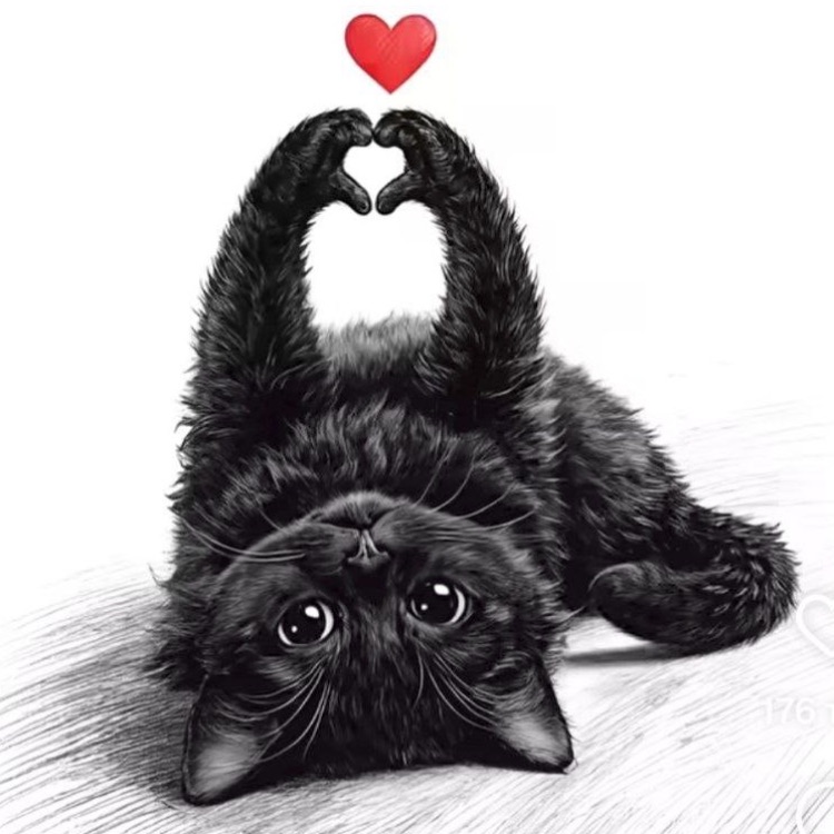 Иконка канала ВикиСара