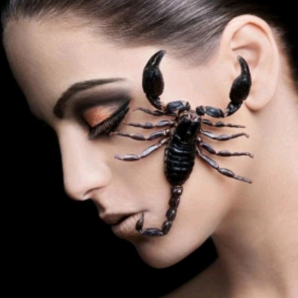 Иконка канала Elvira_love411akrep