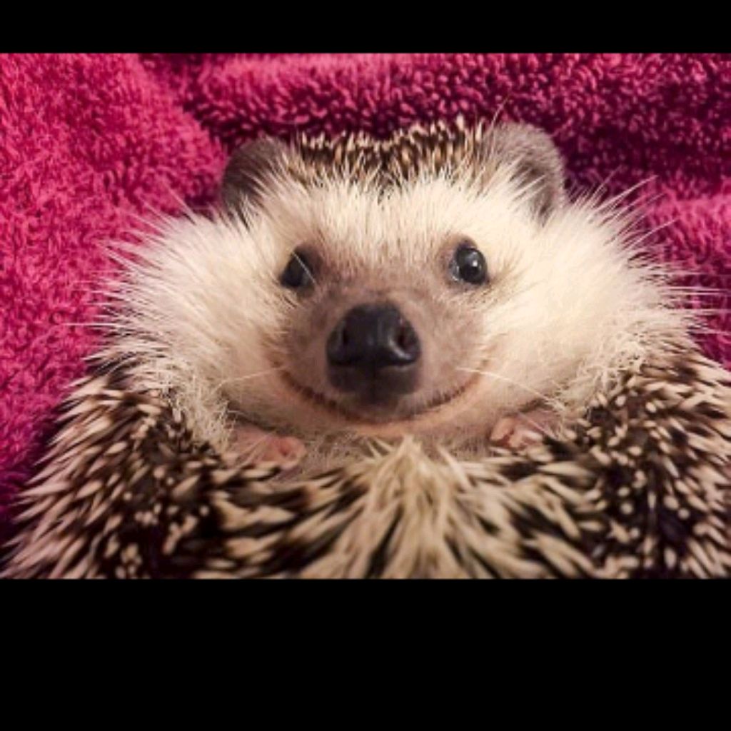 Иконка канала Оливочек