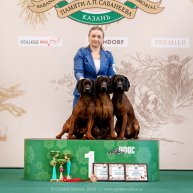 Иконка канала Баварская горная гончая "Красивая Счастливая Жизнь