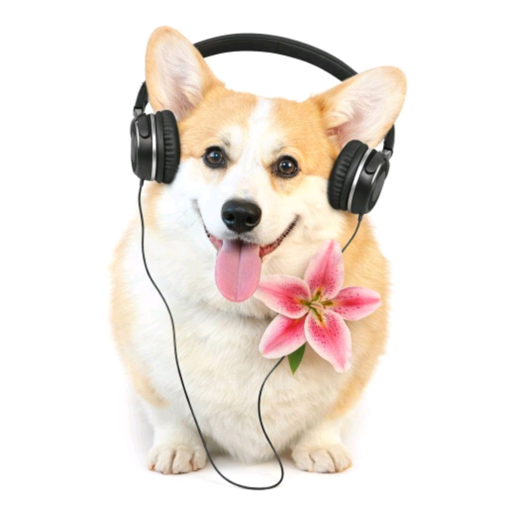 Иконка канала TatianaTatiana