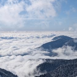 Иконка канала 1kanal