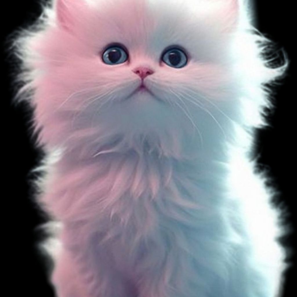 Иконка канала Sofa Poli