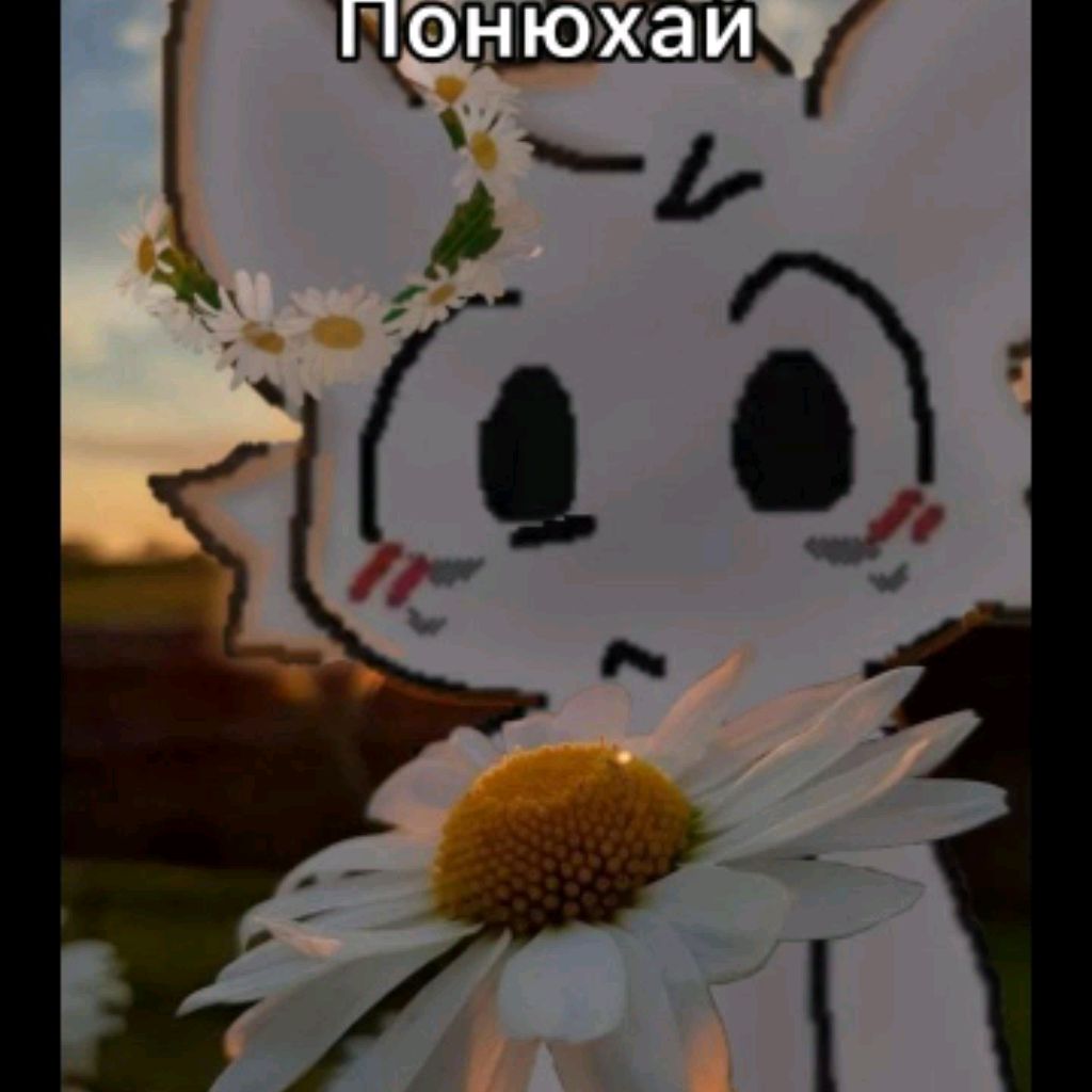 Иконка канала EmiLiya Др 06.03