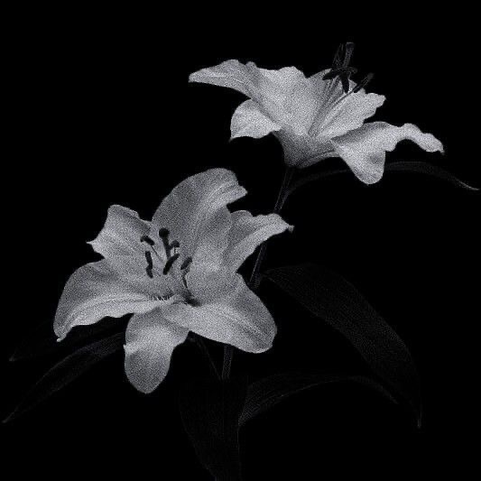 Иконка канала Aleksandra_M