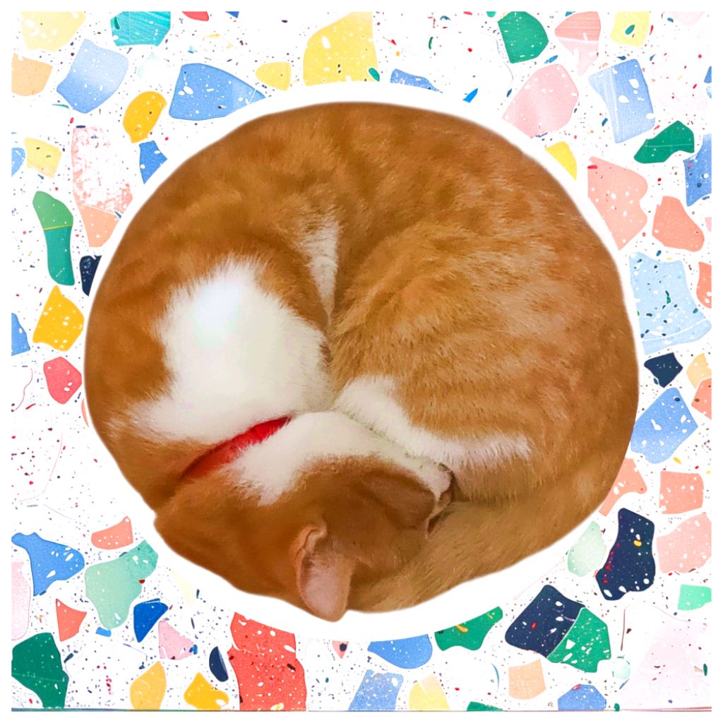 Иконка канала Котики компотики