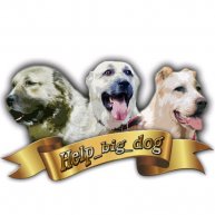 Иконка канала Help_Big_Dog