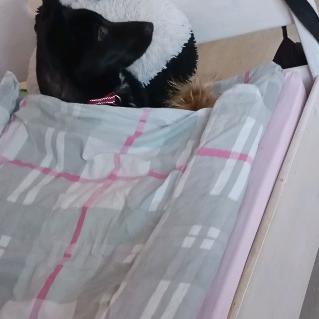 Иконка канала AЛИСАFAN