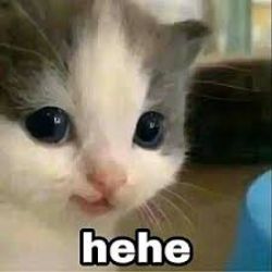 Иконка канала Mr.Memes