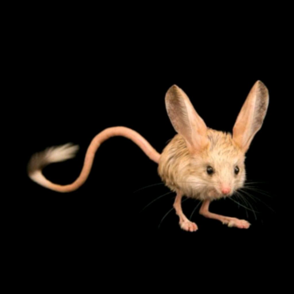 Иконка канала , _ , . _ .