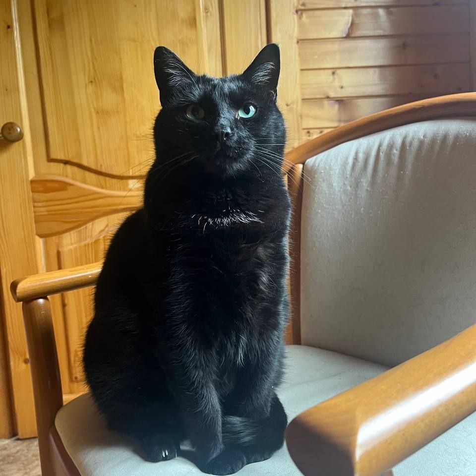 Иконка канала xxx