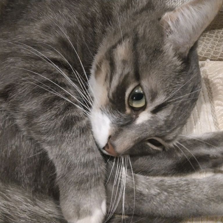 Иконка канала Стас