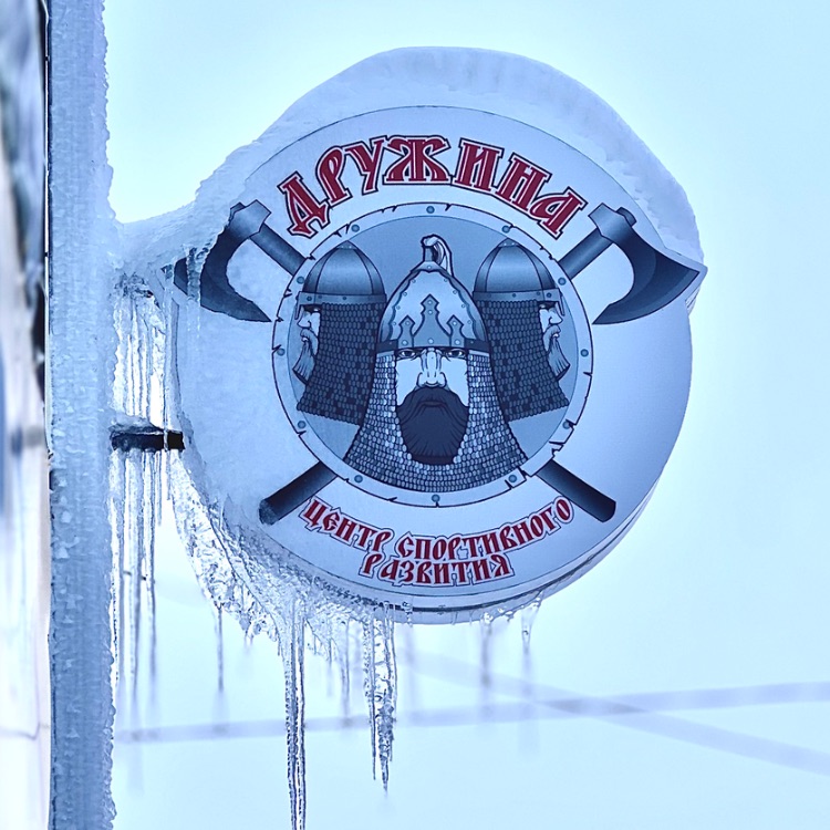 Иконка канала Дружина Центр развития