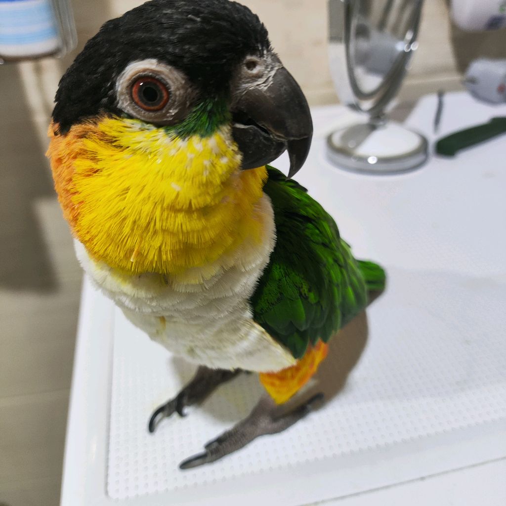 Иконка канала Обзоры Машинки