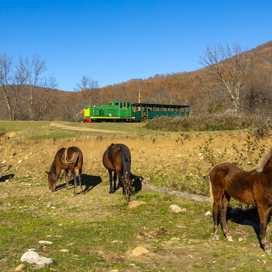 Иконка канала Ужд Краснодарского края и не только