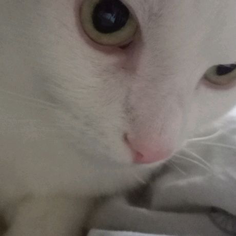 Иконка канала Who Am I?