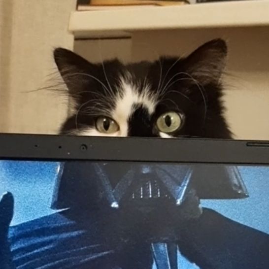 Иконка канала simkindom