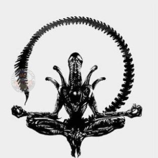 Иконка канала Утренняя звезда ФН