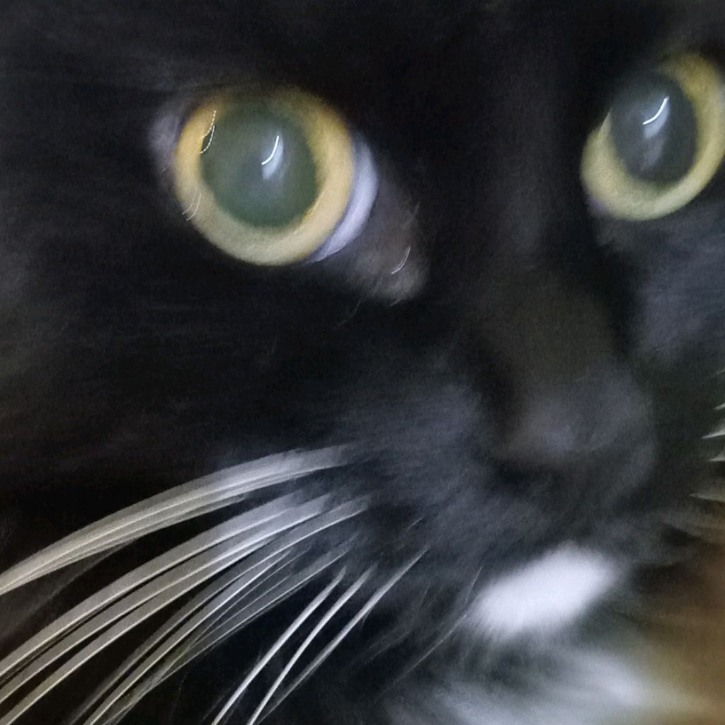 Иконка канала Nikita/Cuphead