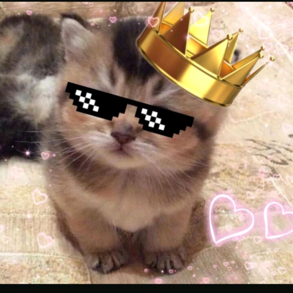 Иконка канала Крутой Кот