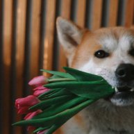 Иконка канала Андрей