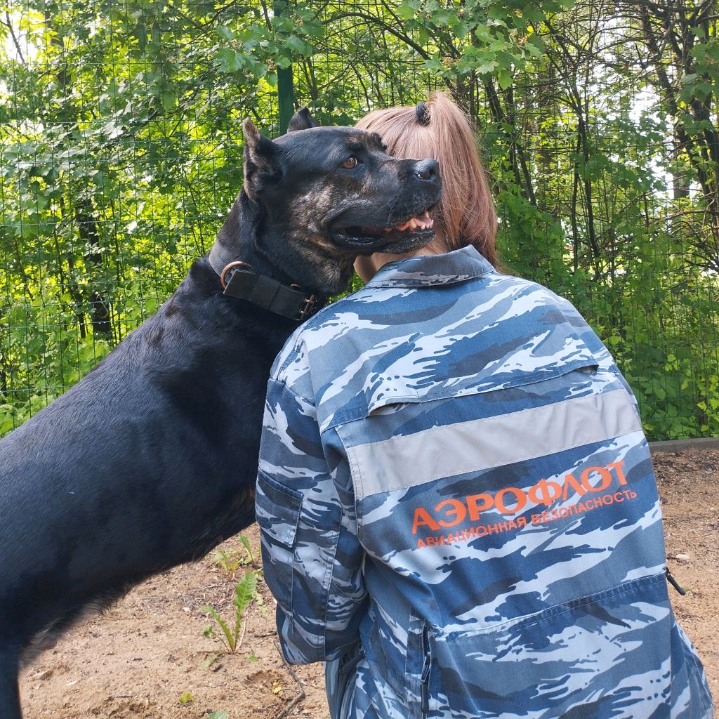 Иконка канала Кинолог в Зеленограде Юлия | Собачья Учёба