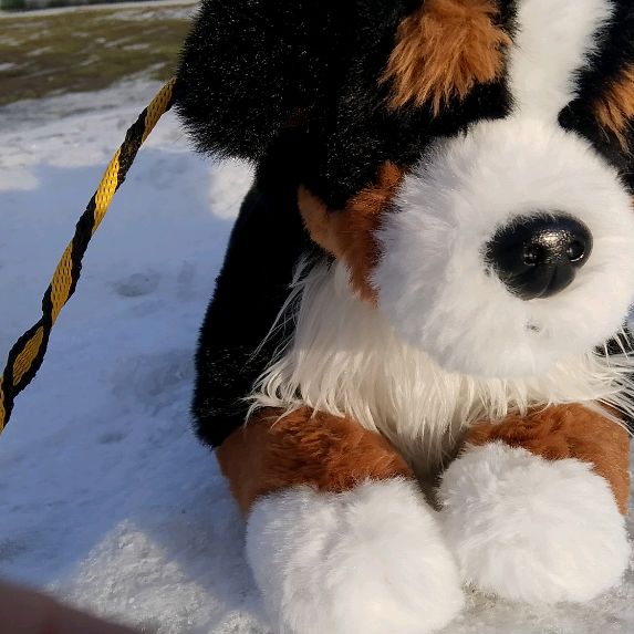 Иконка канала -..Ptava|DOG..-