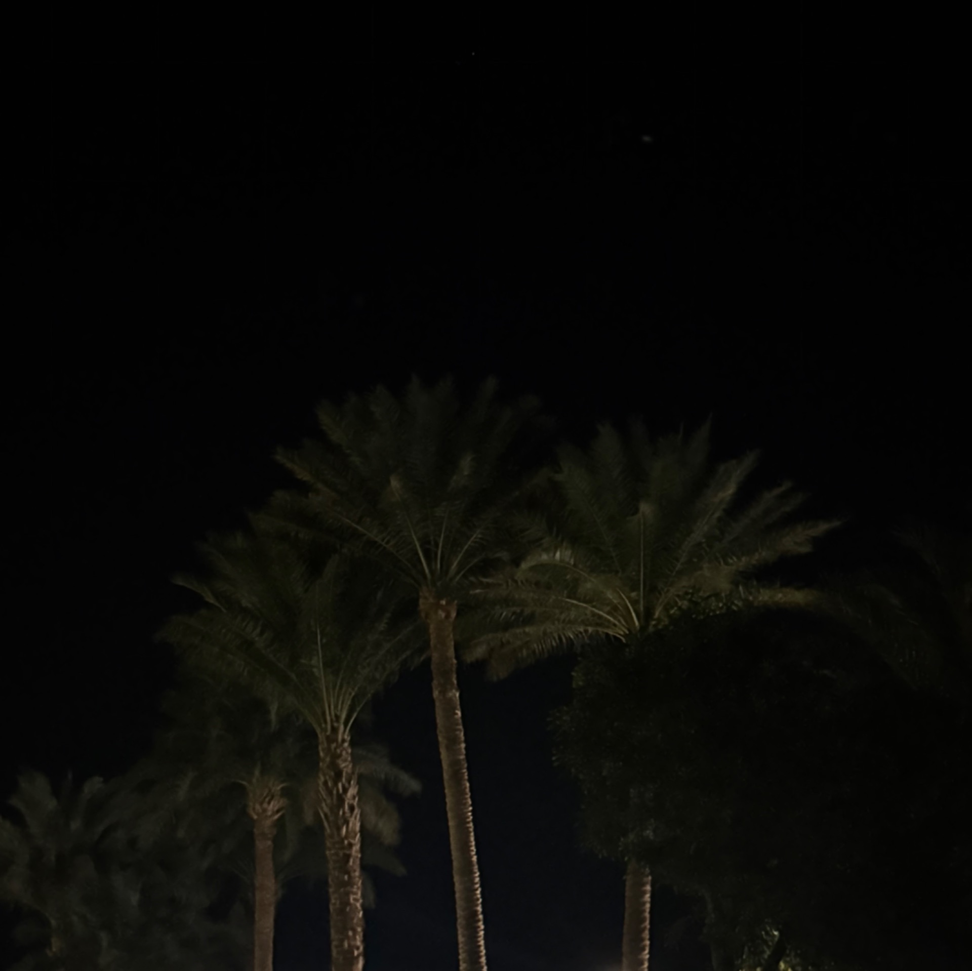 Иконка канала Ulvlog