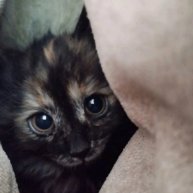 Иконка канала Бусинка