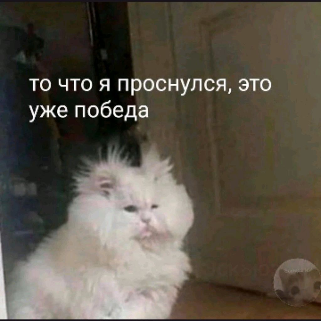 Иконка канала ФАН СОНИ САФАРОВОЙ 😘😍