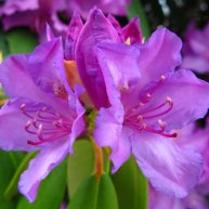 Иконка канала Талызина Татьяна ( Татиана )