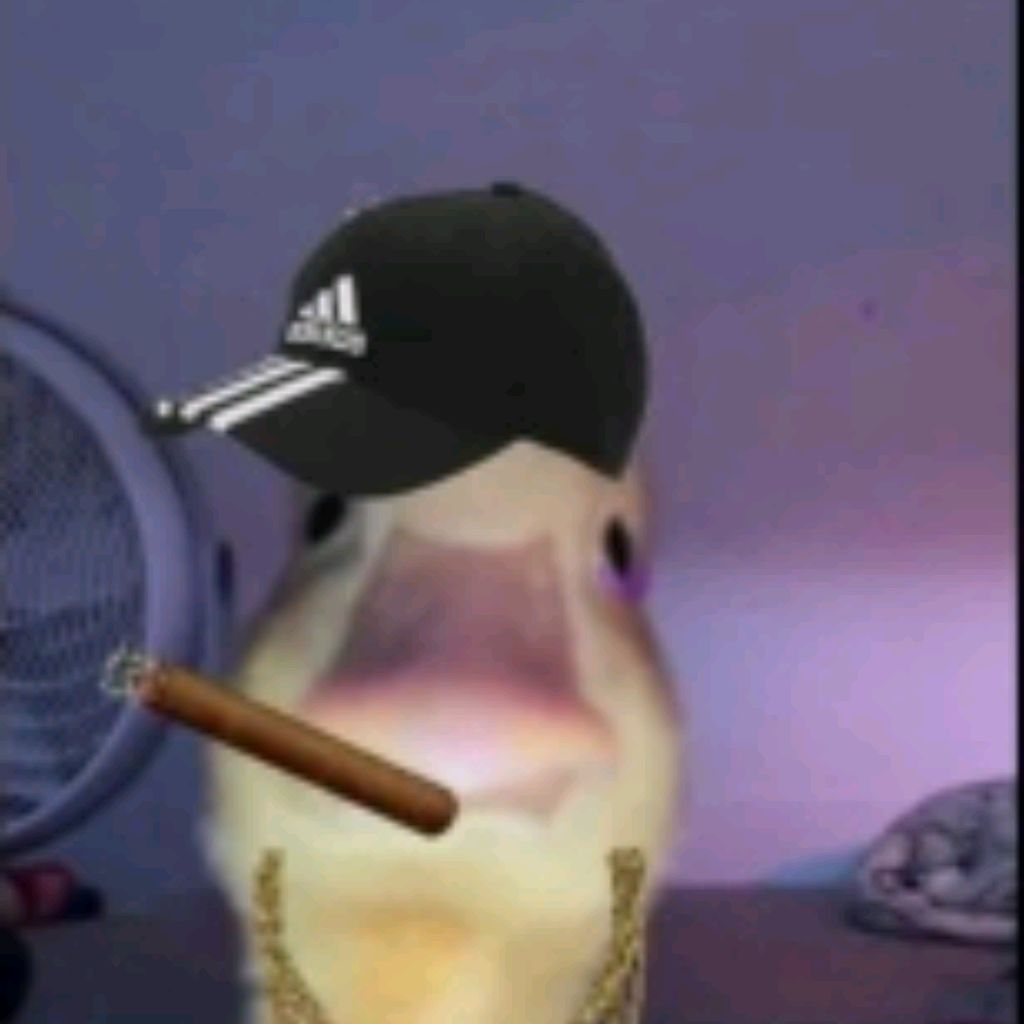 Иконка канала 67